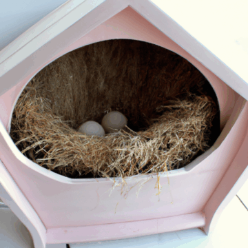 L'importance du pondoir pour le bien-être des poules et la qualité des ...